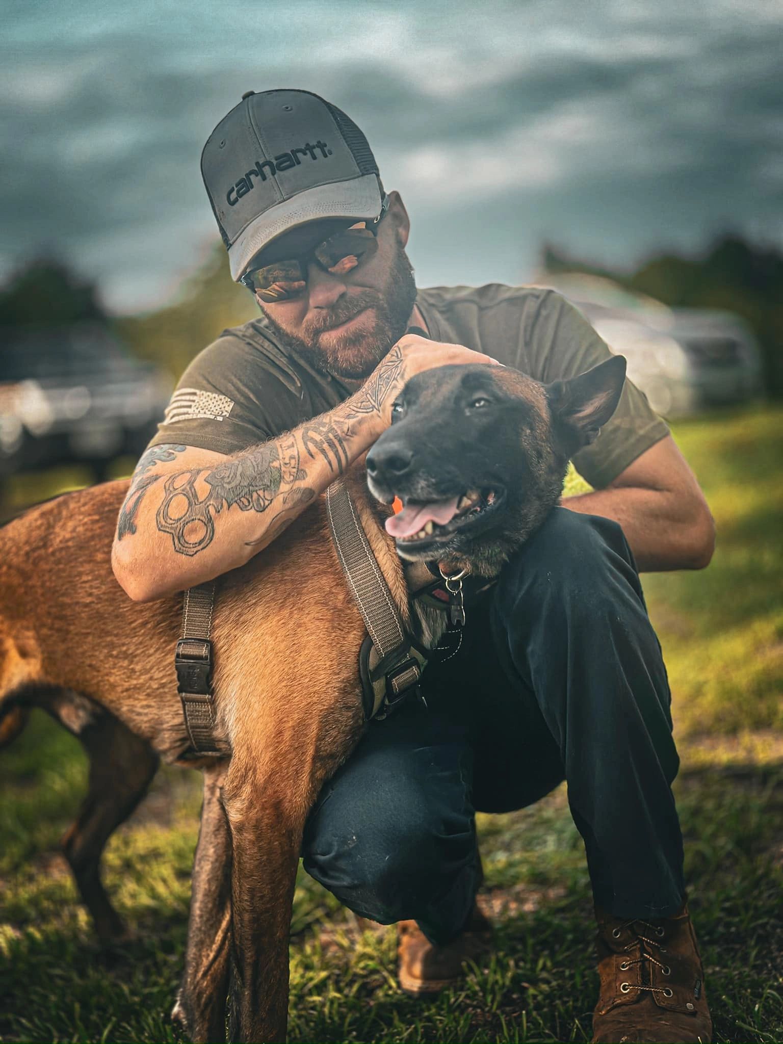 Is Professional Dog Training Worth It?