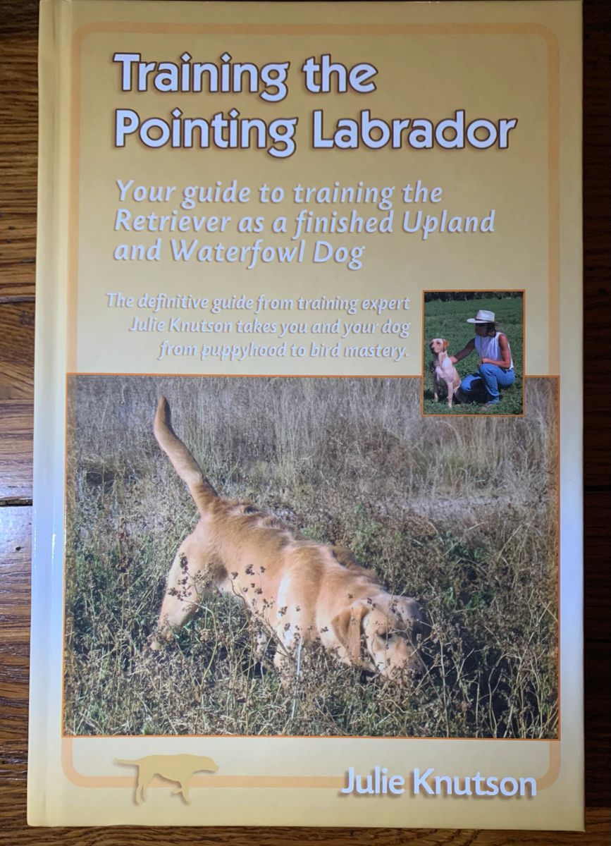 Training the Pointing Labrador