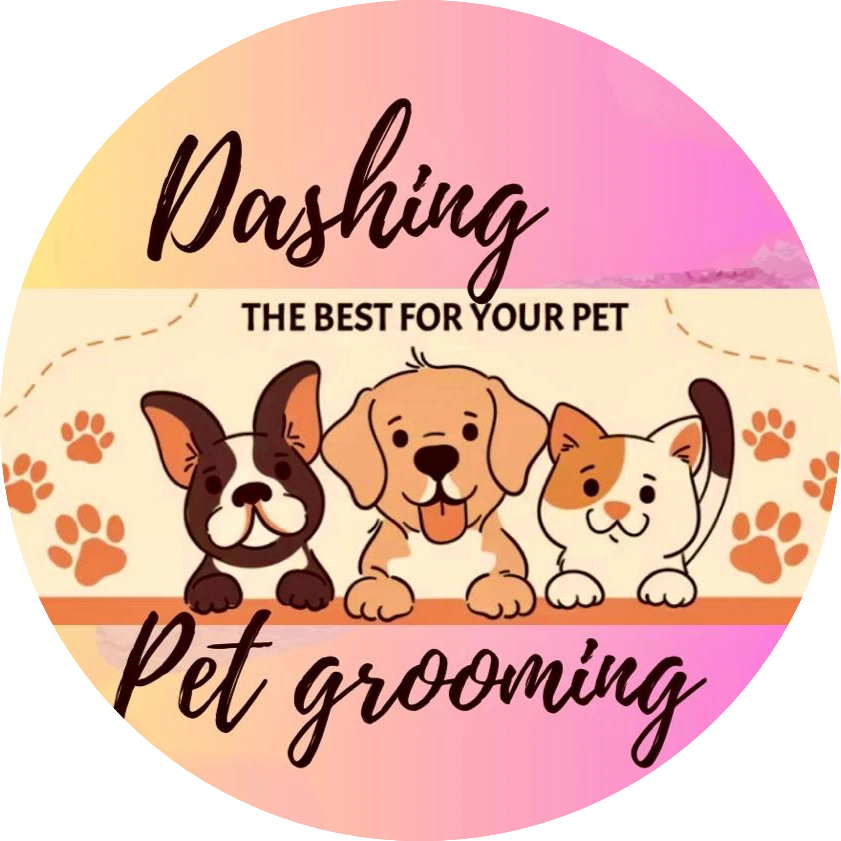 dashing pet grooming