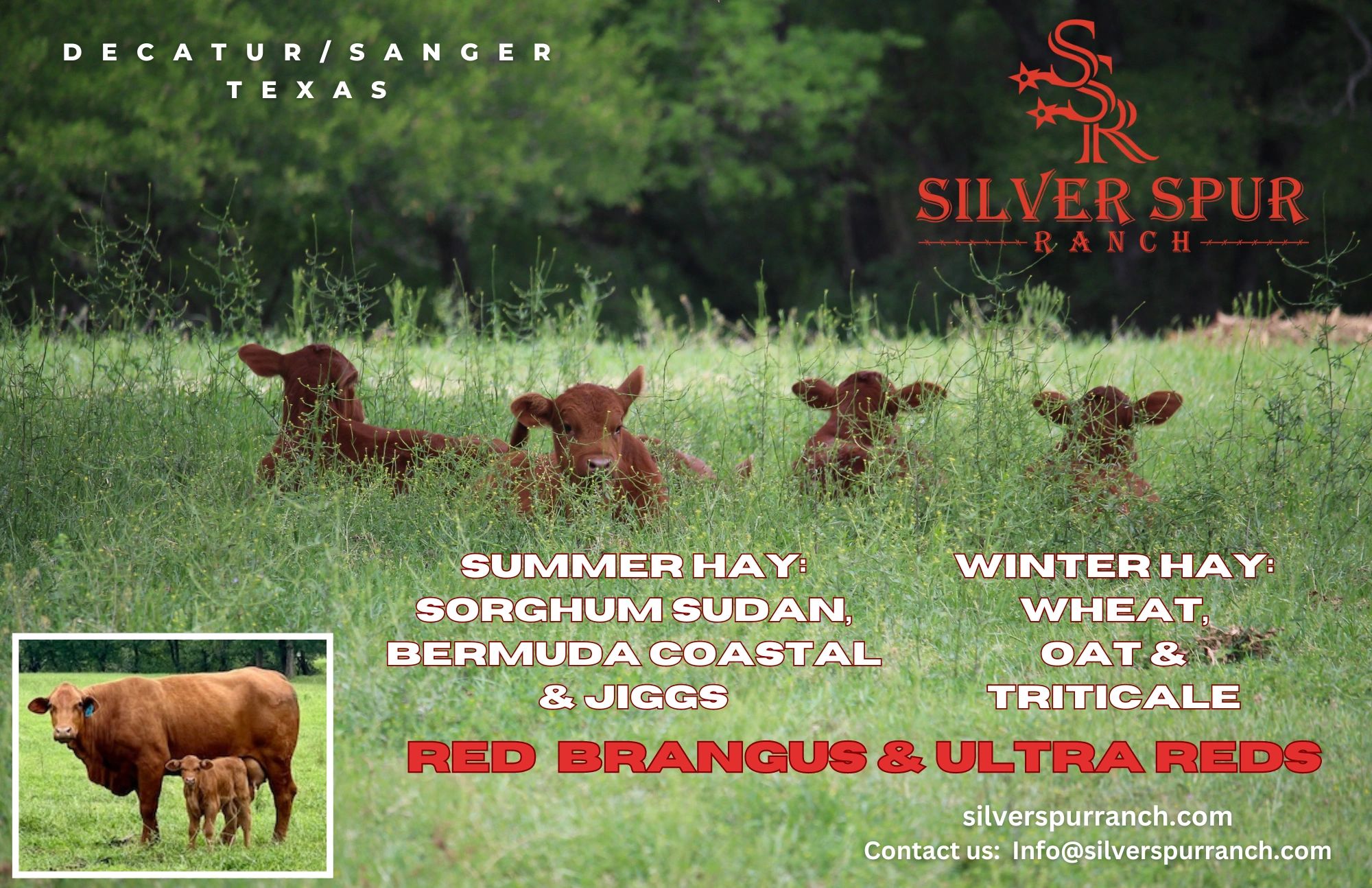 Silver Spur Ranch LLC