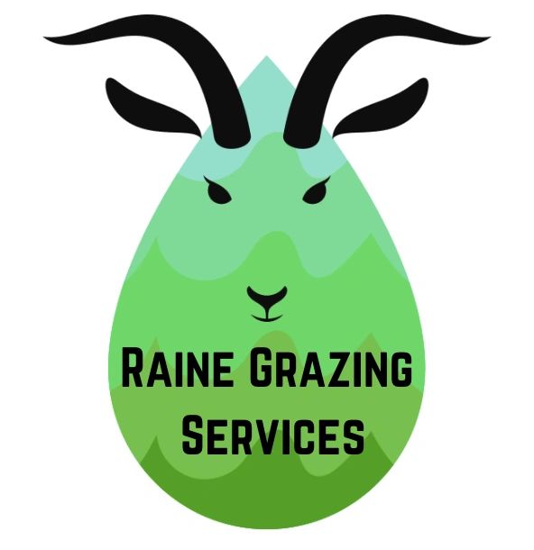 Goat Rental Washington - Raine Grazing Services