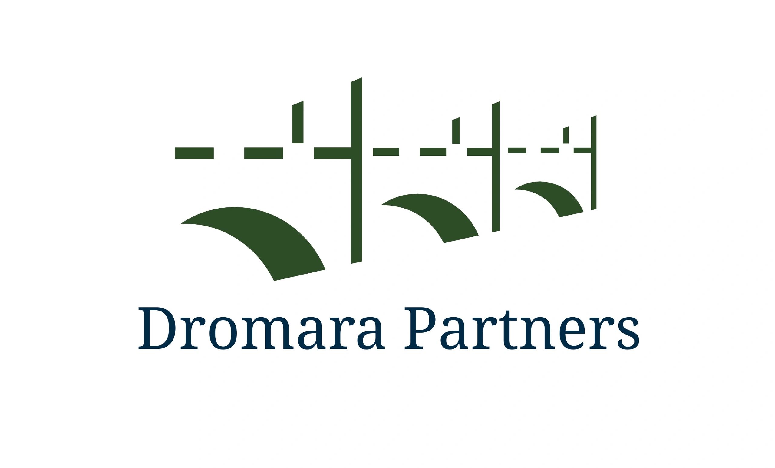 Dromara Partners