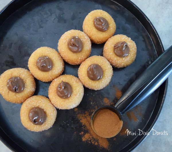 Mini Dixie Donuts - Warner Robins, Georgia