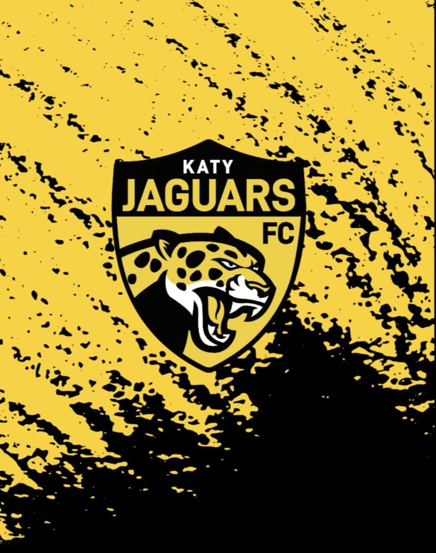 Jaguar Soccer Logo Foundation Round Up October 2024 Jacksonville