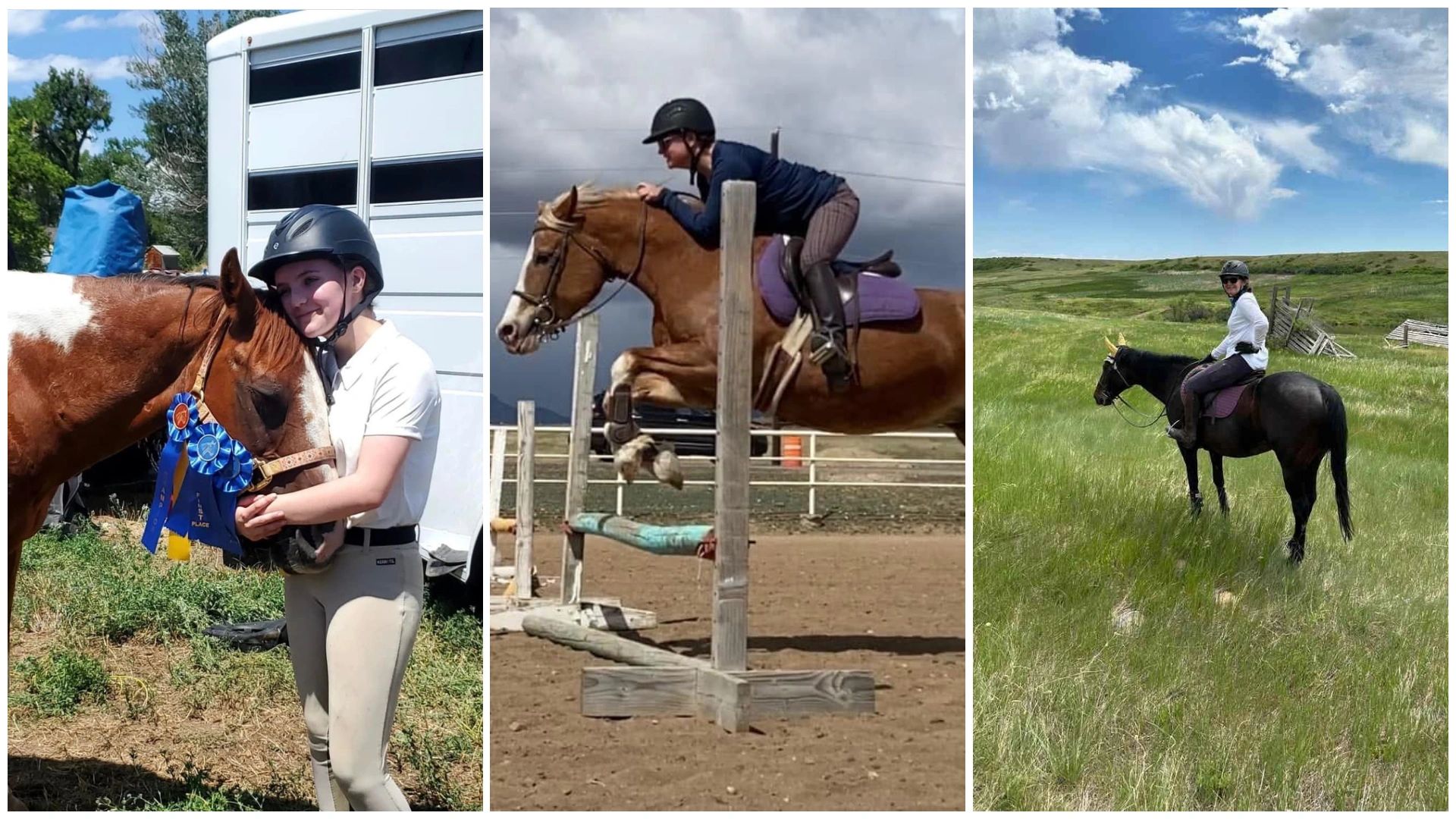 Horse Riding Lessons for All Levels