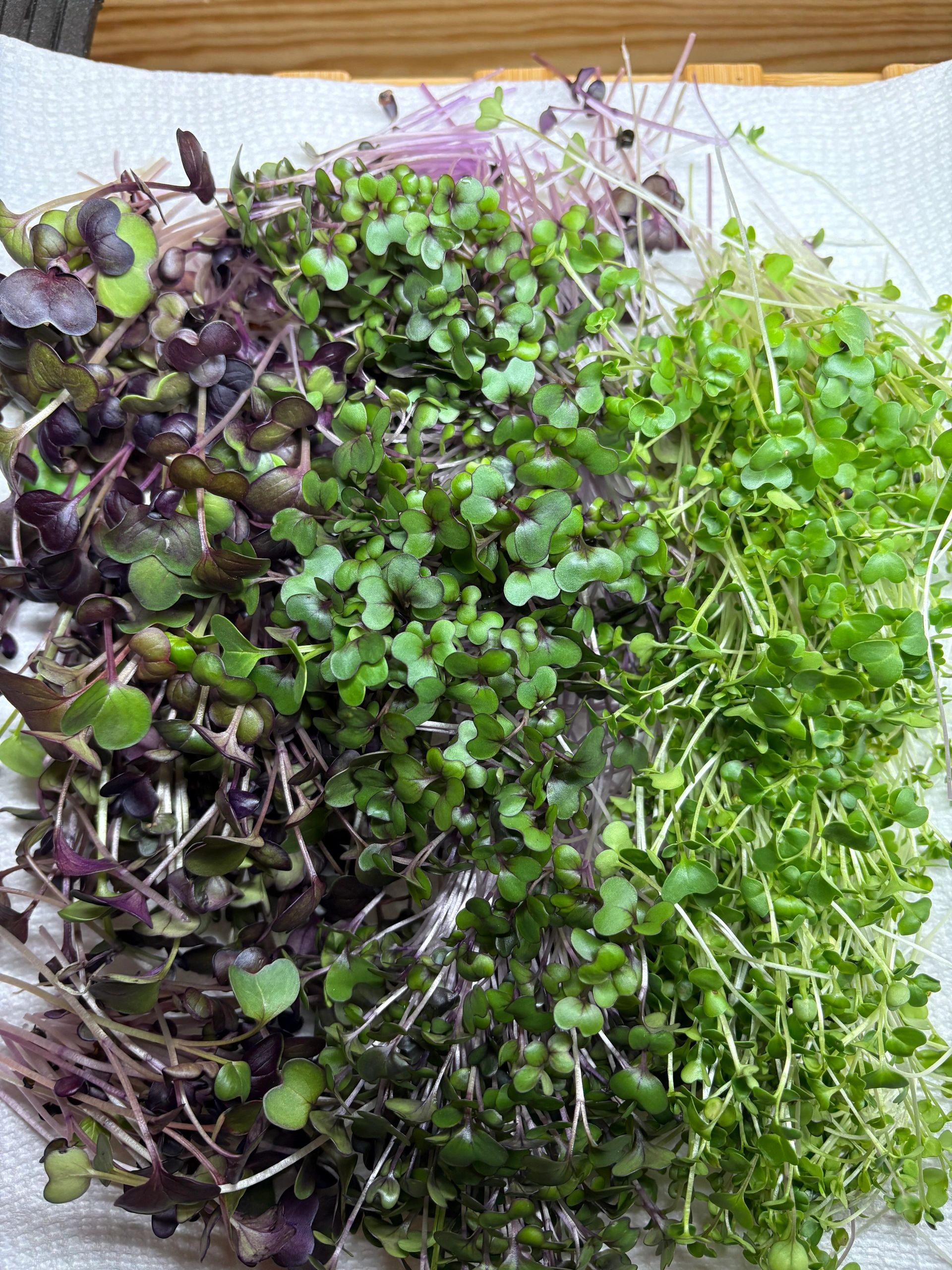 Eli’s Edible Microgreens LLC