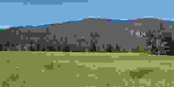 HEART BAR HEART RANCH - Buffalo, Meat, Food