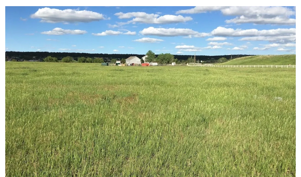 Organic Meat and Poultry | 5DFarms