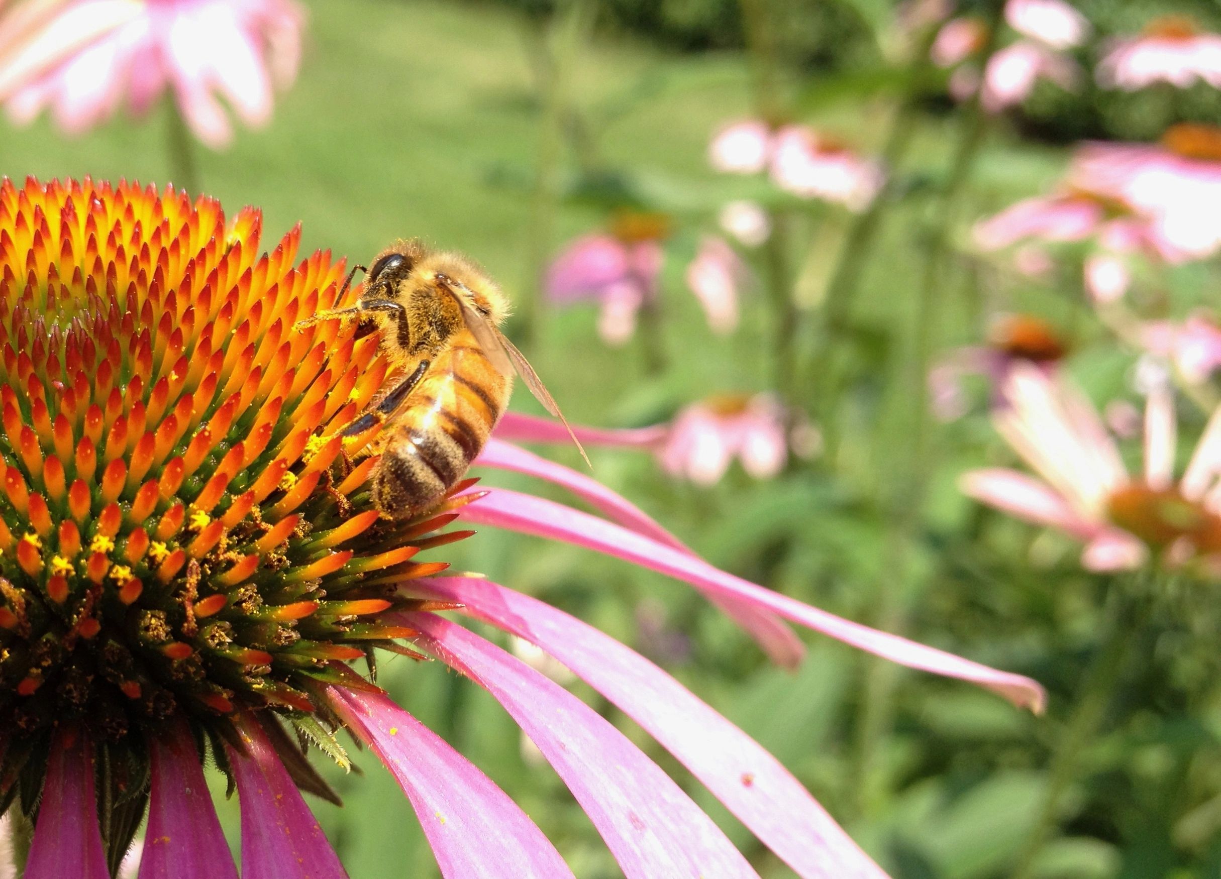 About Me | Judith Orr