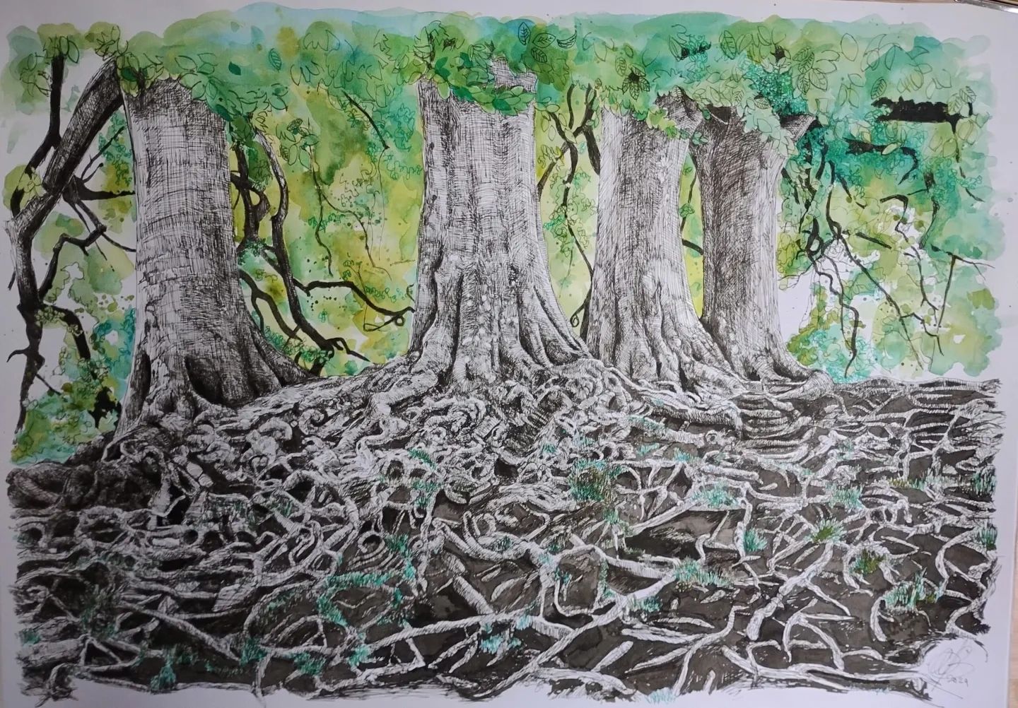 Spinal Roots Healing