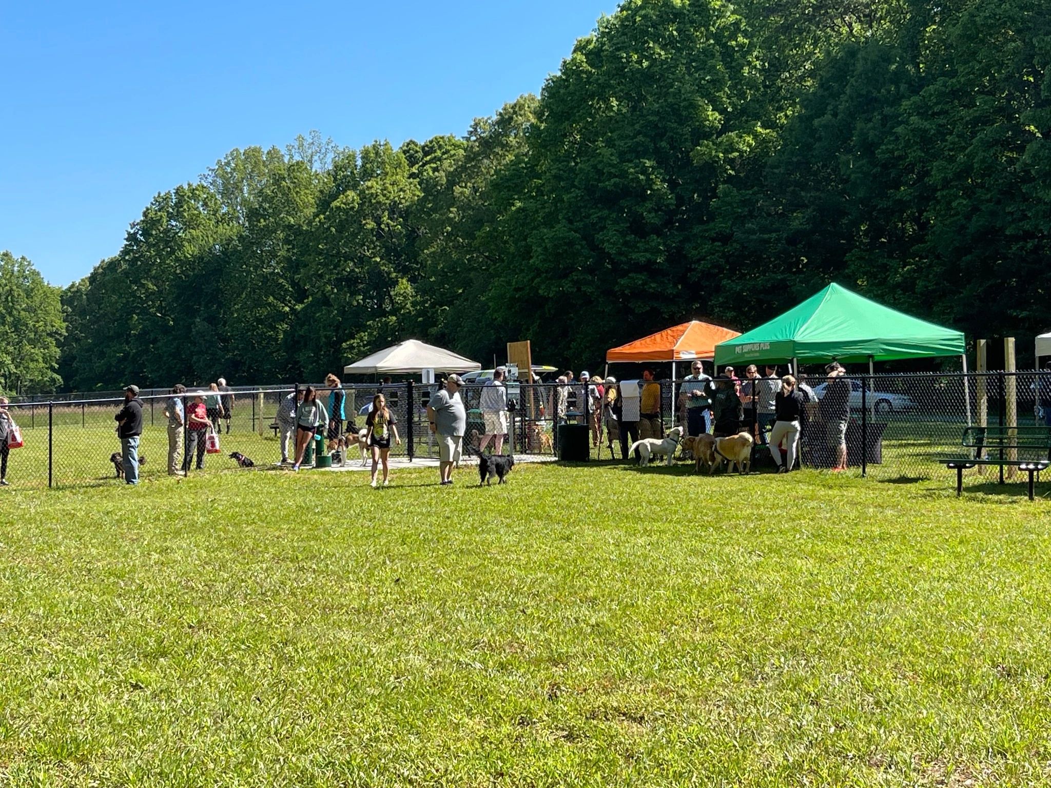 Summerfield Dog Park Officially Opens