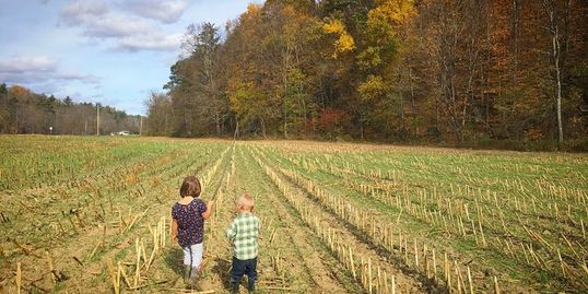 The Gateway Farm - Vermont Maple Syrup, Maple Syrup, Vermont | The ...