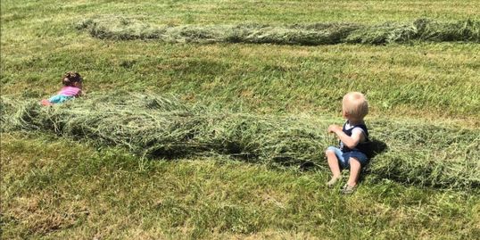 The Gateway Farm - Pure Vermont Maple Syrup & Birch Syrup, Vermont Made ...
