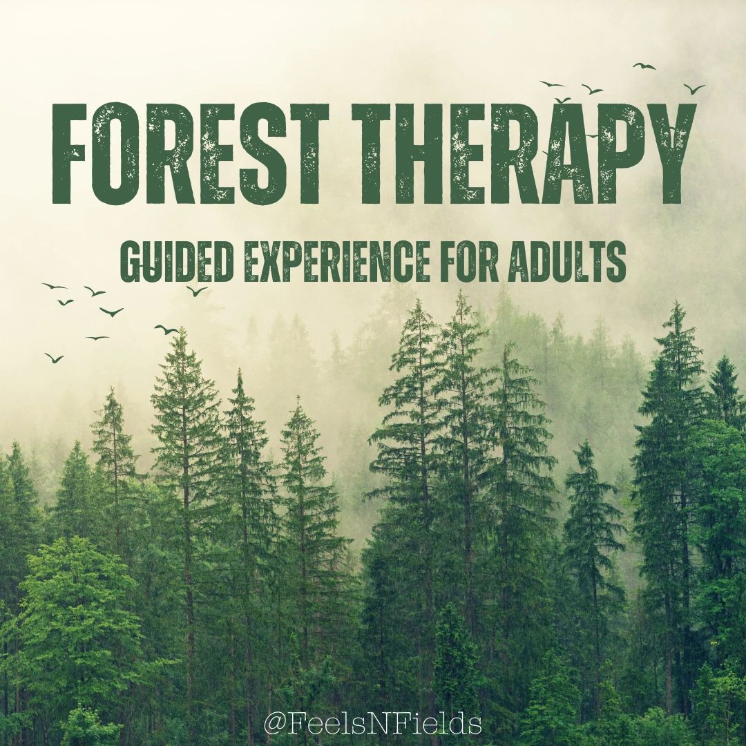 Forest Therapy for Adults