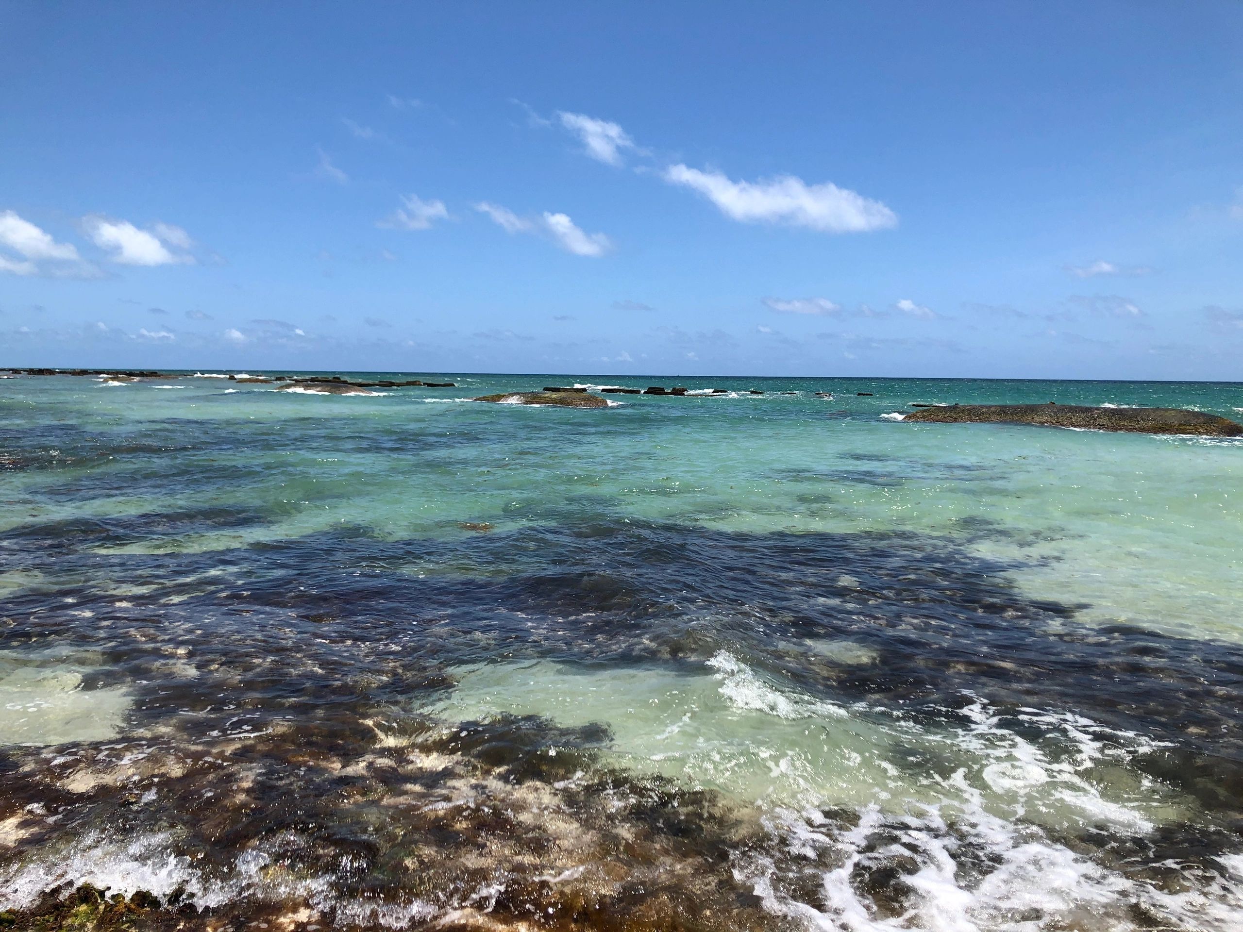 My First All-Inclusive