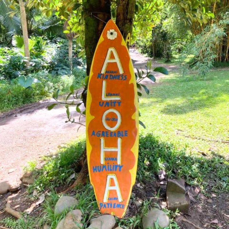 Welcome To Hawai'i! A Friendly Guide to Tourist Etiquette