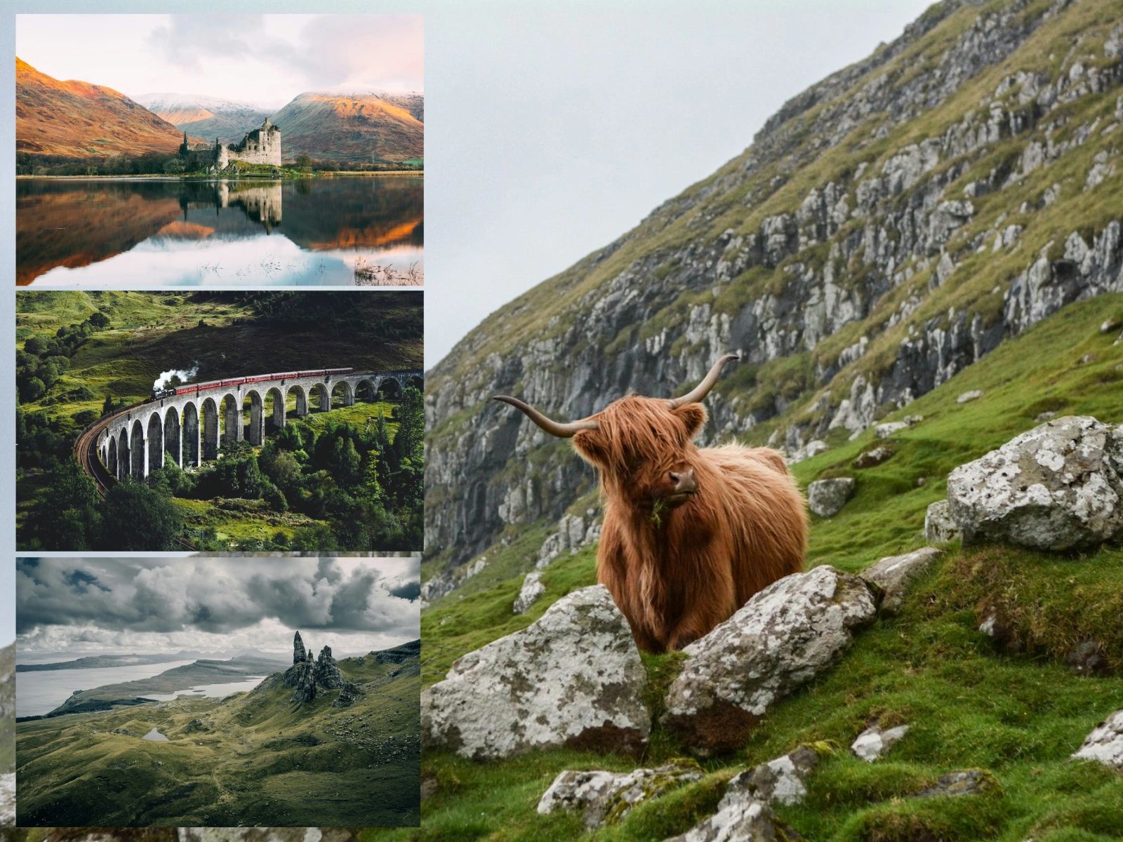 Scotland Surprised Me - Just Back From