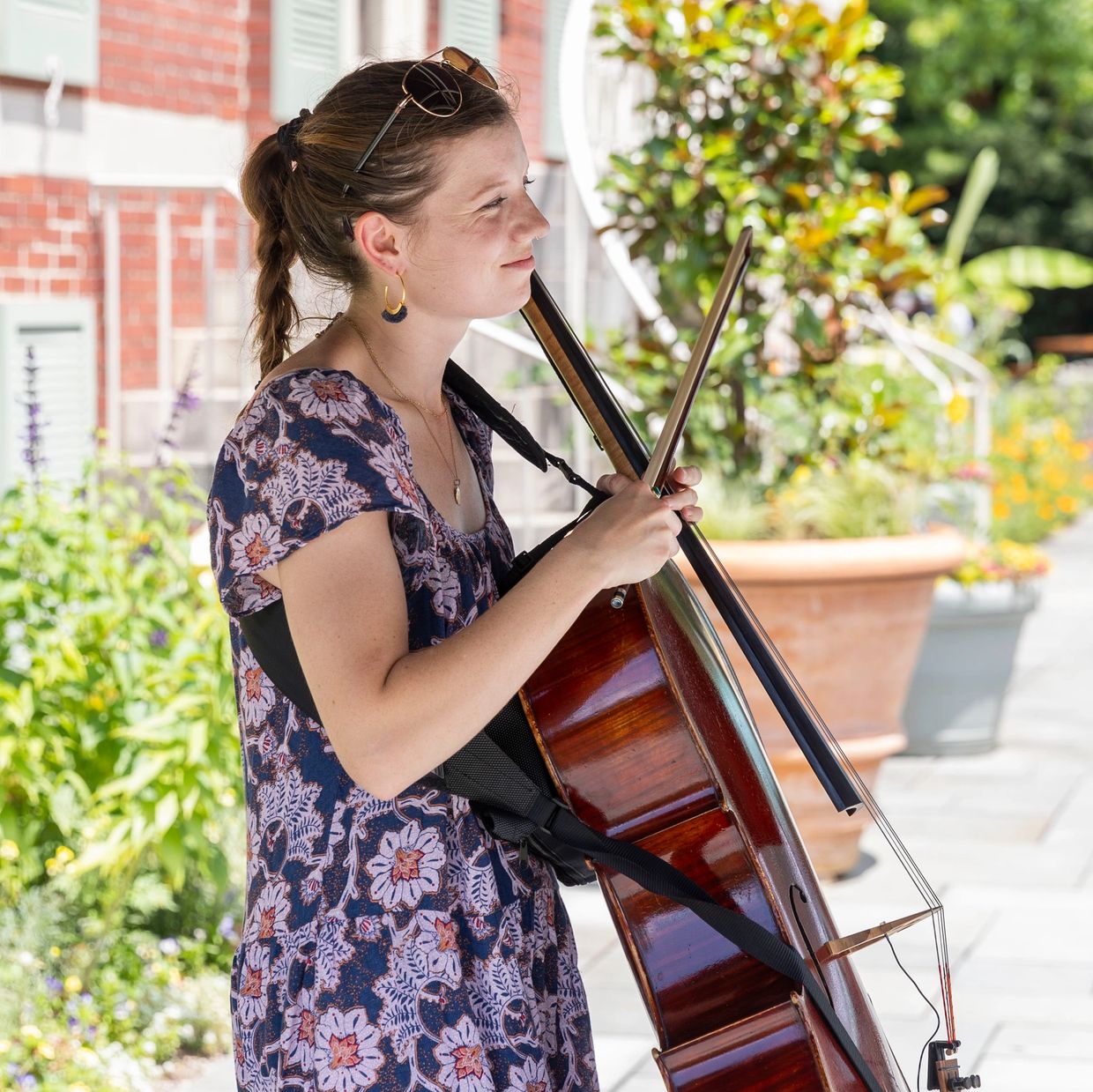 About | White Willow Strings