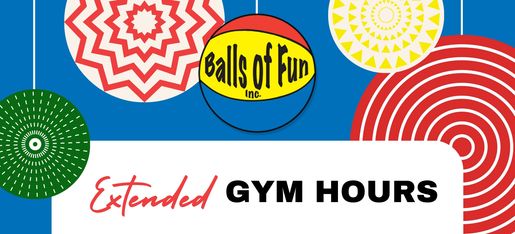 Balls of Fun - Kids Birthday Parties, Ball Pit