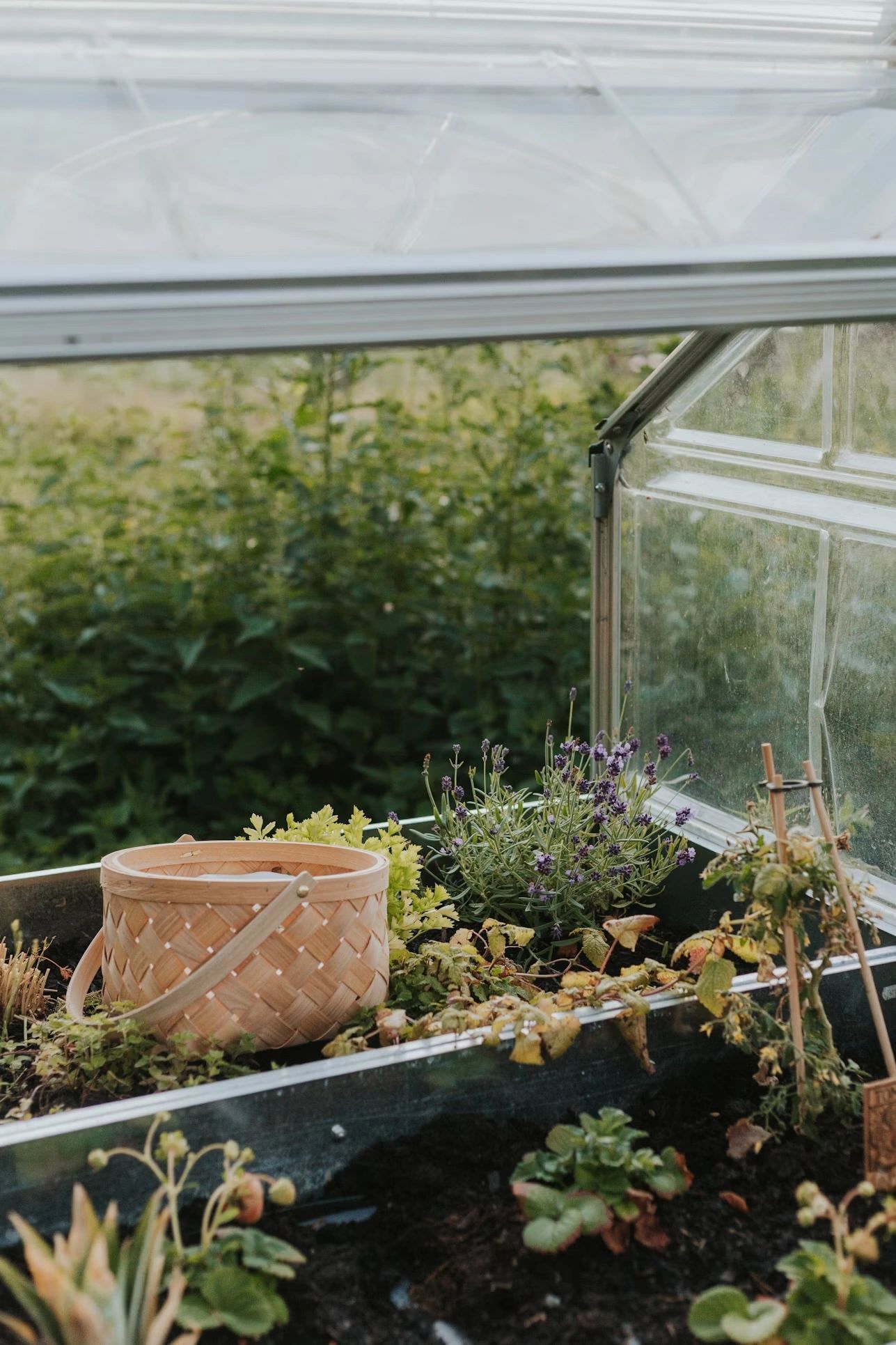 Cold Frames & Row Covers Made Easy