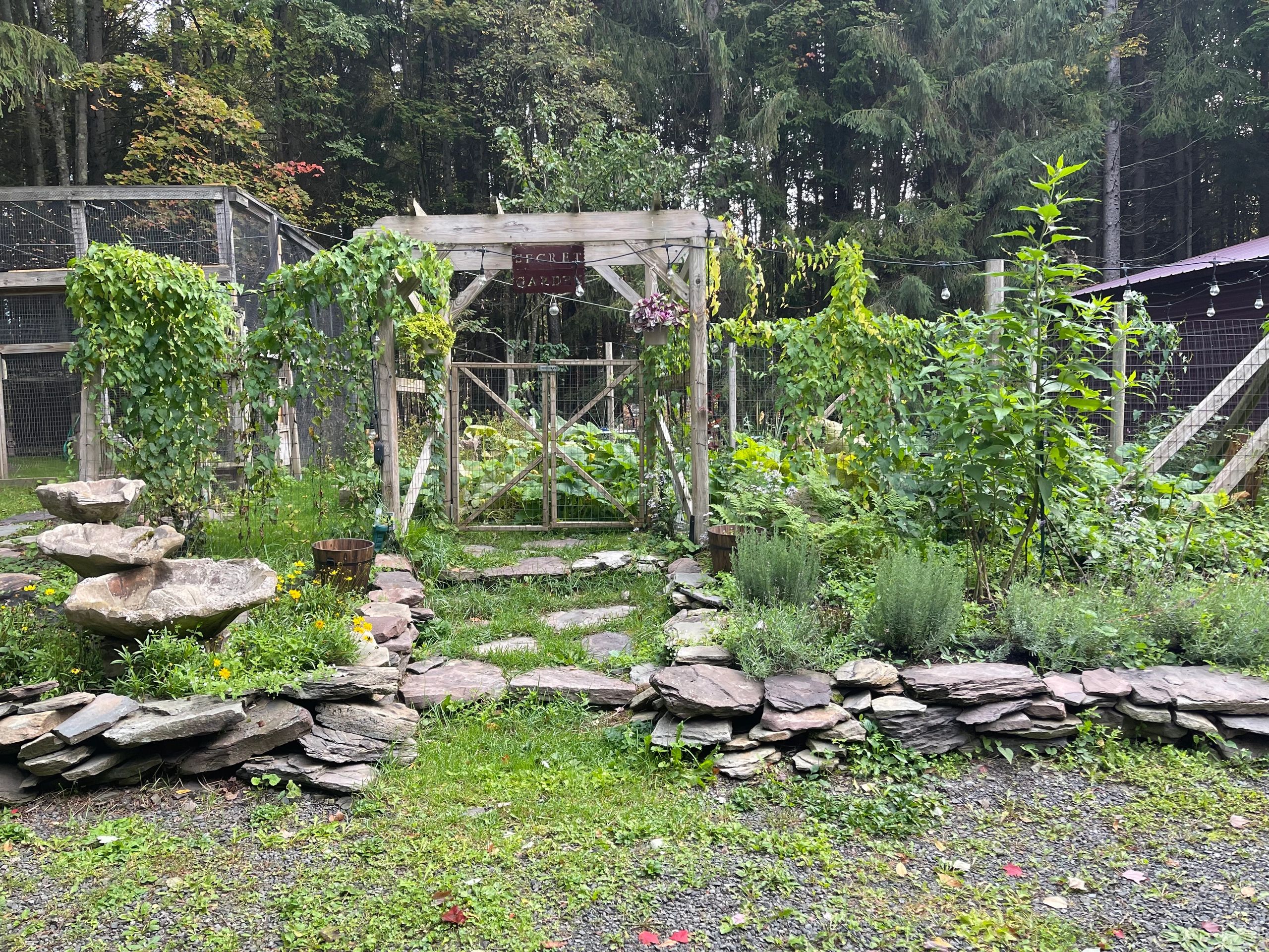 Lilys Garden of Edan Farm