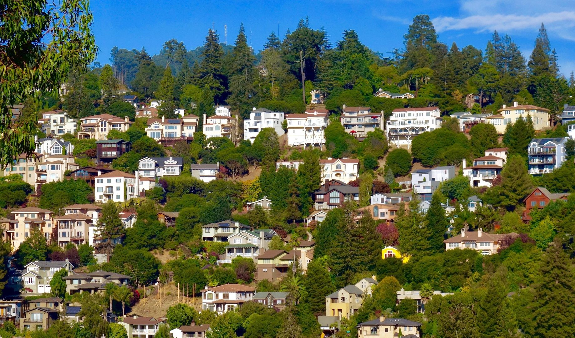 East Bay Structural & Termite Co.