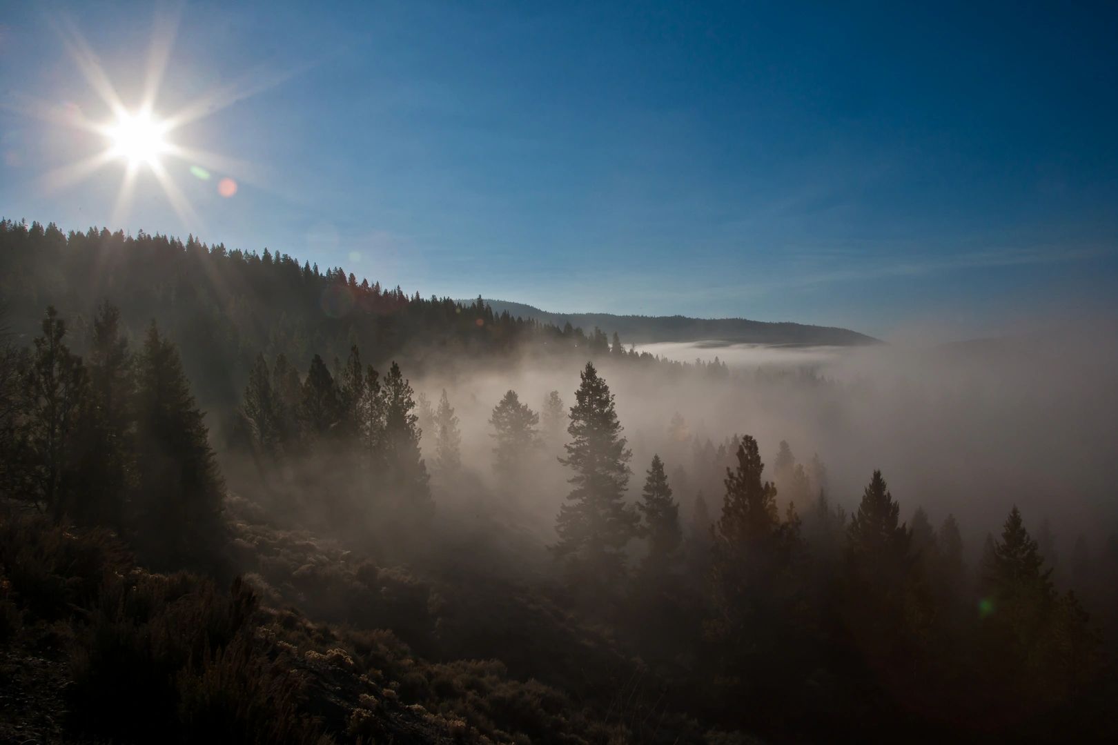 Chief Joe Mathias British Columbia Aboriginal Scholarship Fund