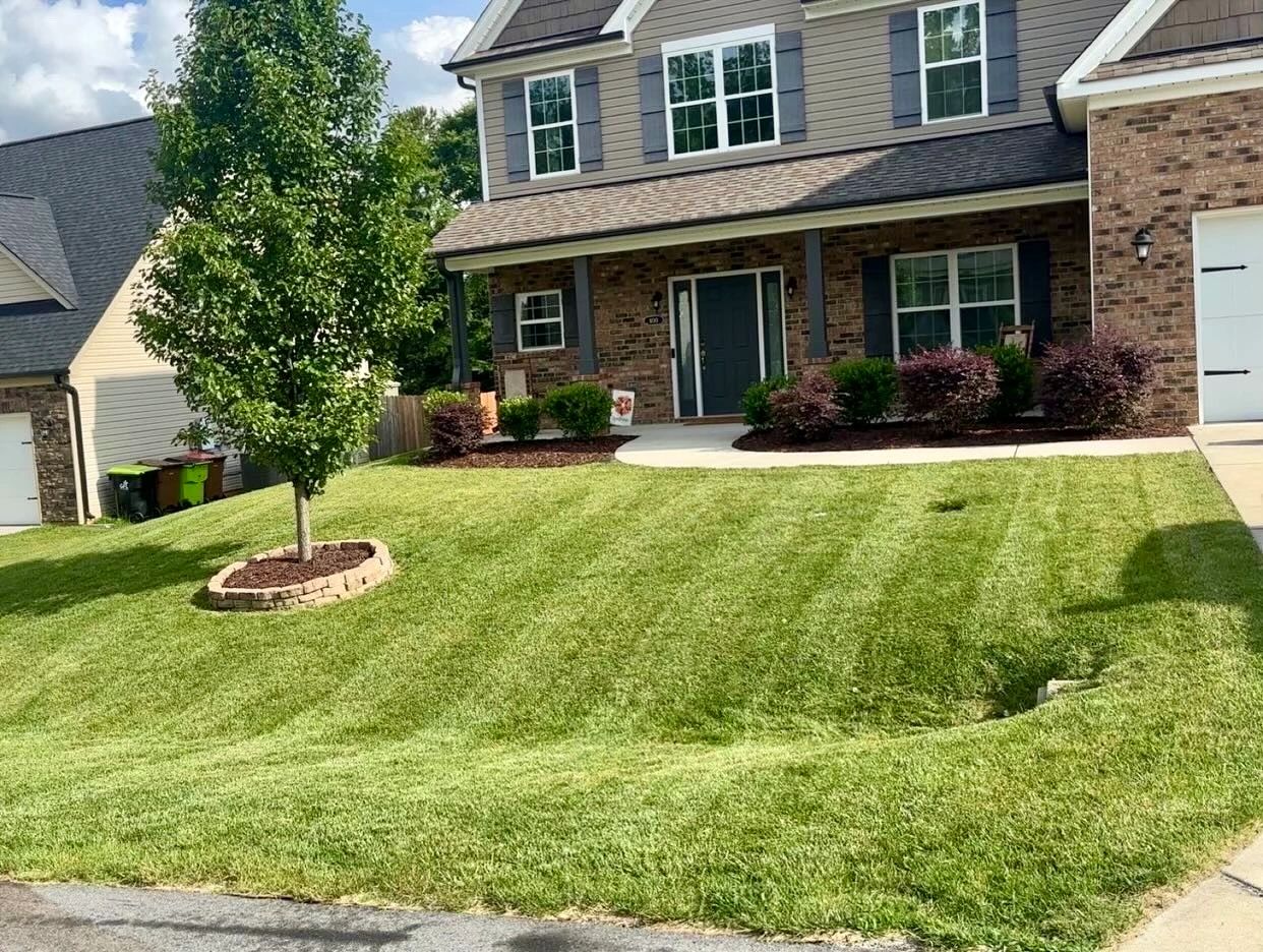Expert Lawn Care Services, Pressure Washing, Gutter Cleaning and ...