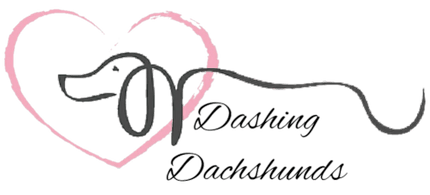 Dashing Dachshunds