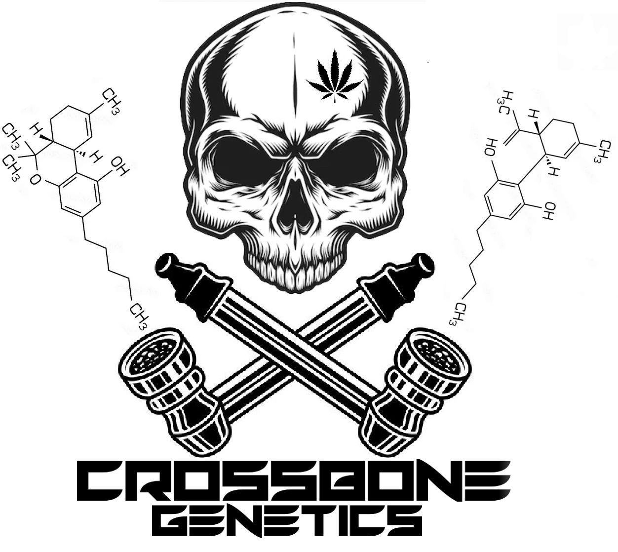 Buy Fem Photo Cannabis Seeds - Crossbone Genetics