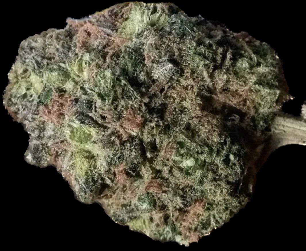 Blueberry Kush (Photo Reg)
