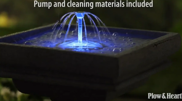 Product of the Month | Nature Junction