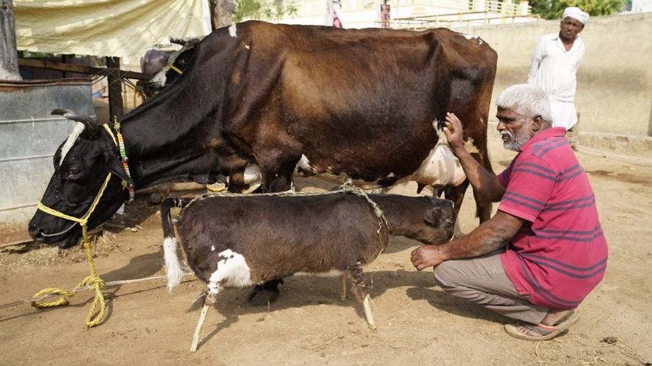 Khaal Bachha: This will break your heart