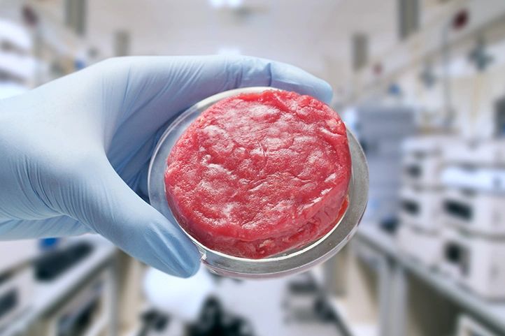 Cultured Meat: Growing Meat in a Petri Dish