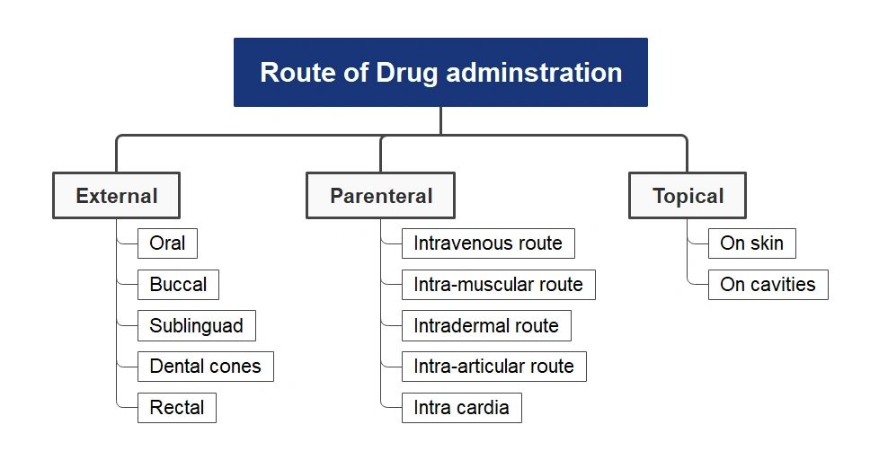 Route Of Drug Administration