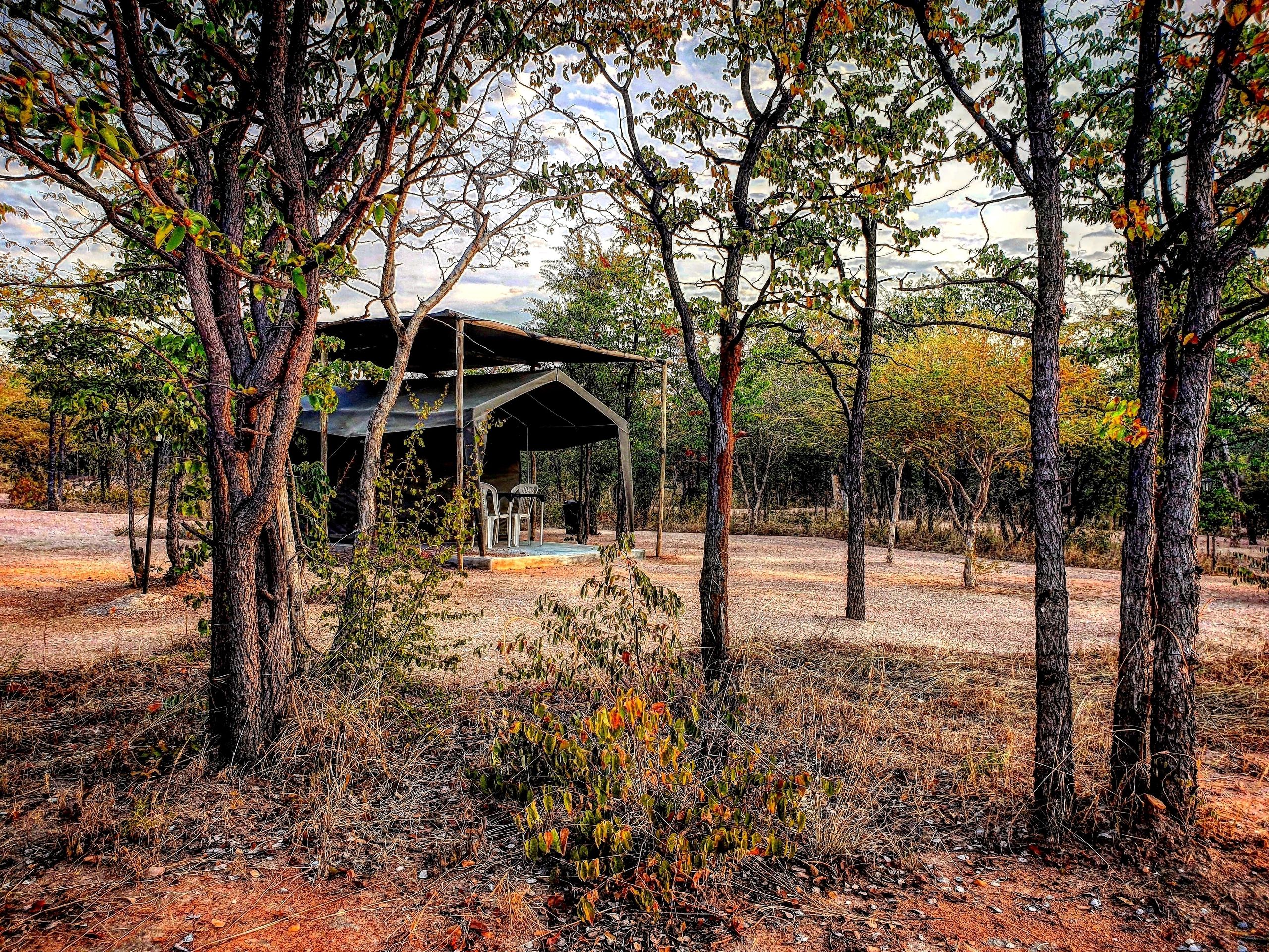 Bushbuck Agricamp