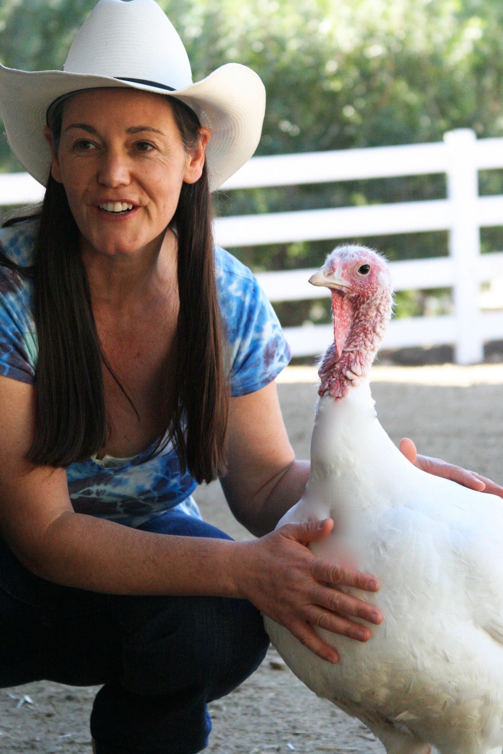 How We Learned to Cuddle Turkeys