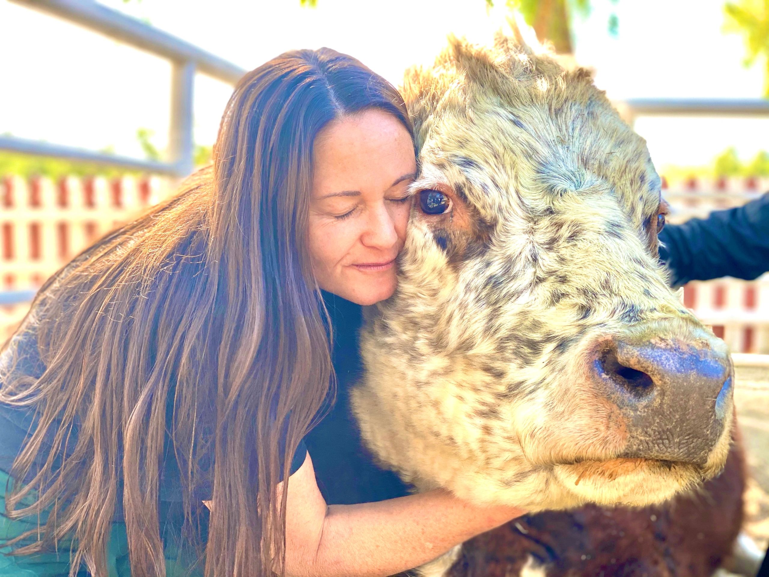 A Cow’s Goodbye Circle Part 1