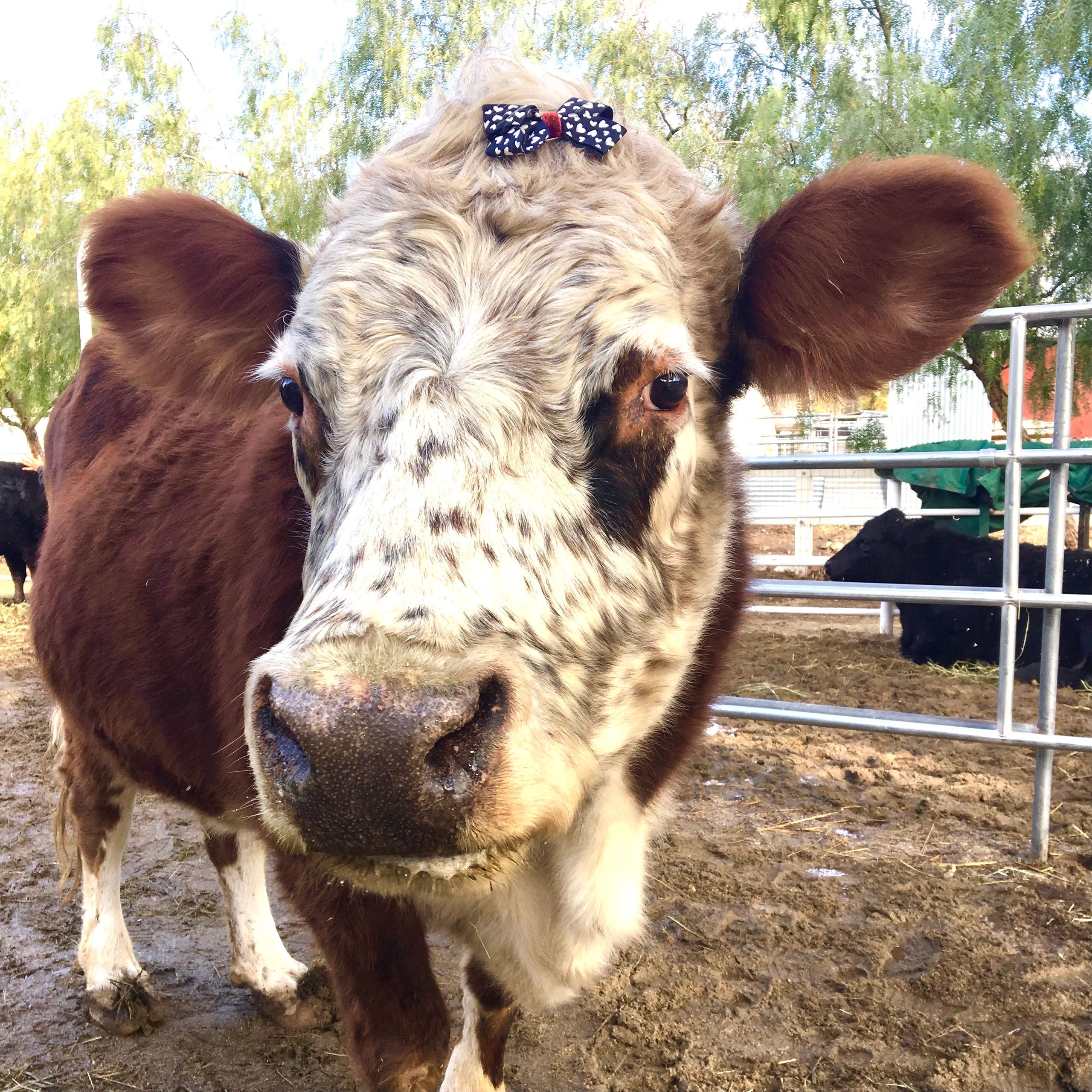 Goodbye Circle Part 2