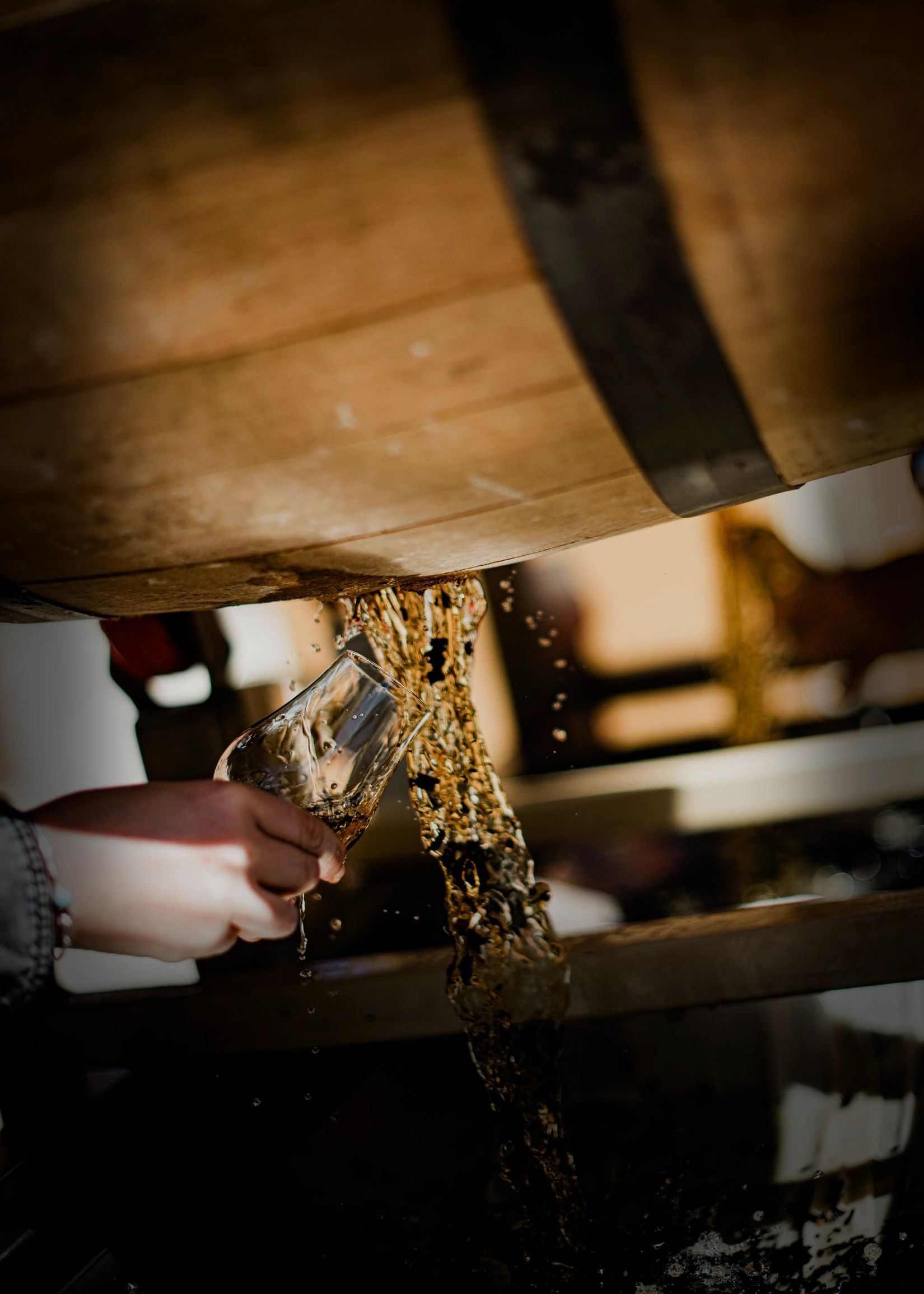 Experience Whiskey Tastings at 1693 Distillery