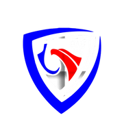 Spec Ops Security