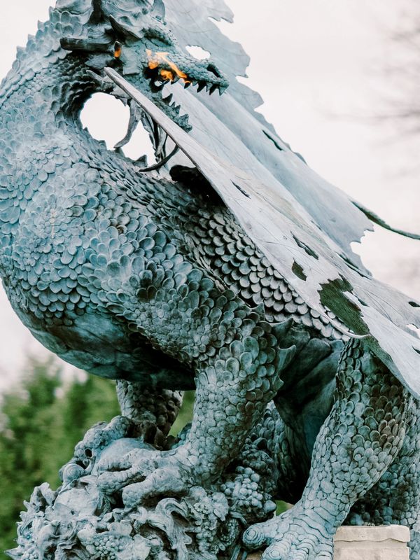 HOME [soderstromcastle.com]