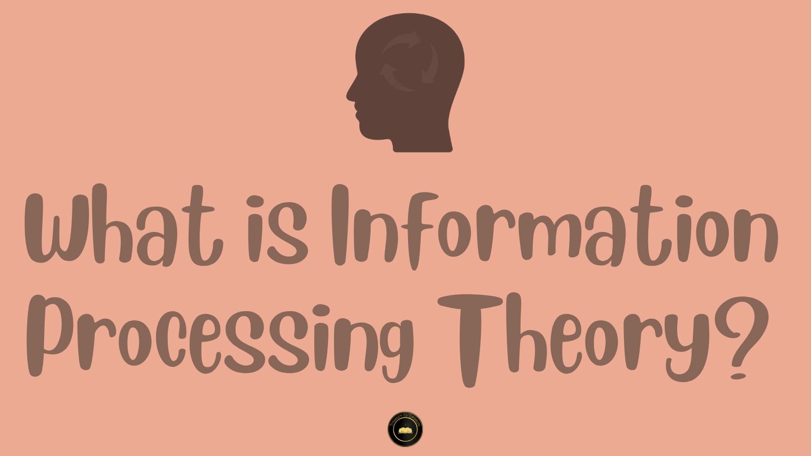 What is Information Processing Theory?