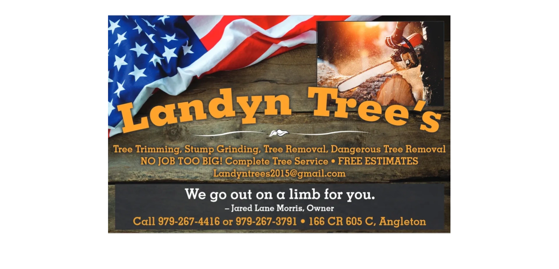 Professional Tree Removal Services
