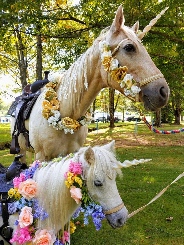 Unicorn ~ Themed Events