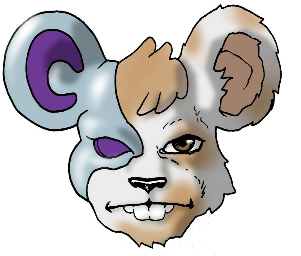 Bulk Medium Rats with Free Shipping