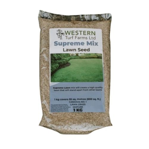 Lawn Seeds (Supreme Mix, 1Kg)