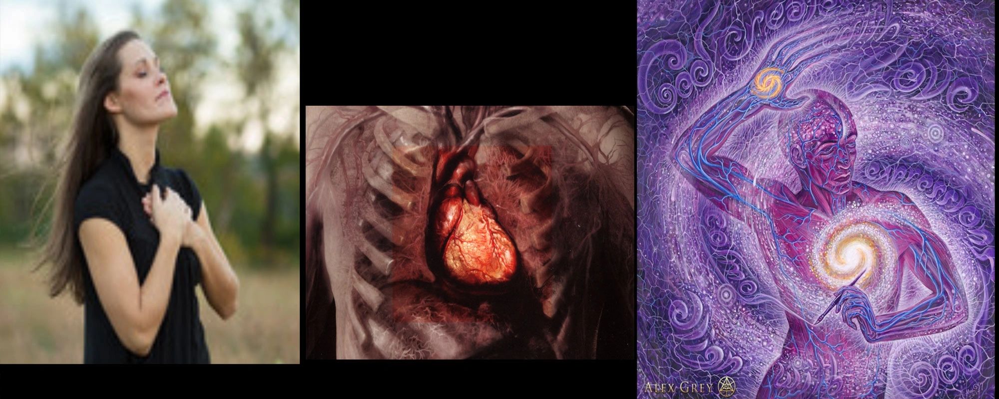 The Three Anatomies of Embodied Experience