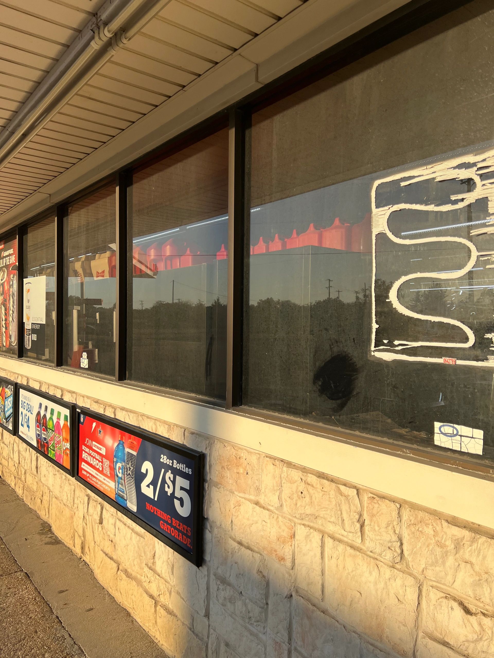 Professional Window Washing Services