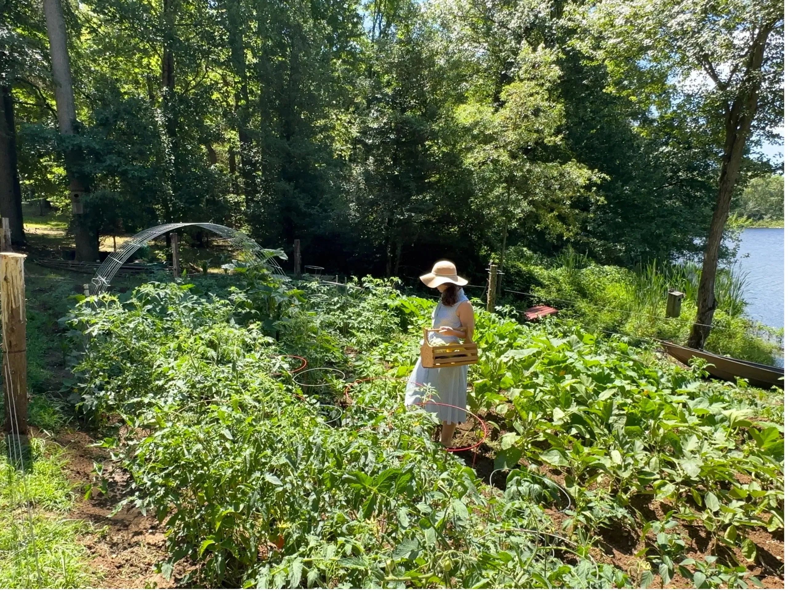 Jersey Bird Homestead: Handcrafted Cold Process Goat’s Milk Soap